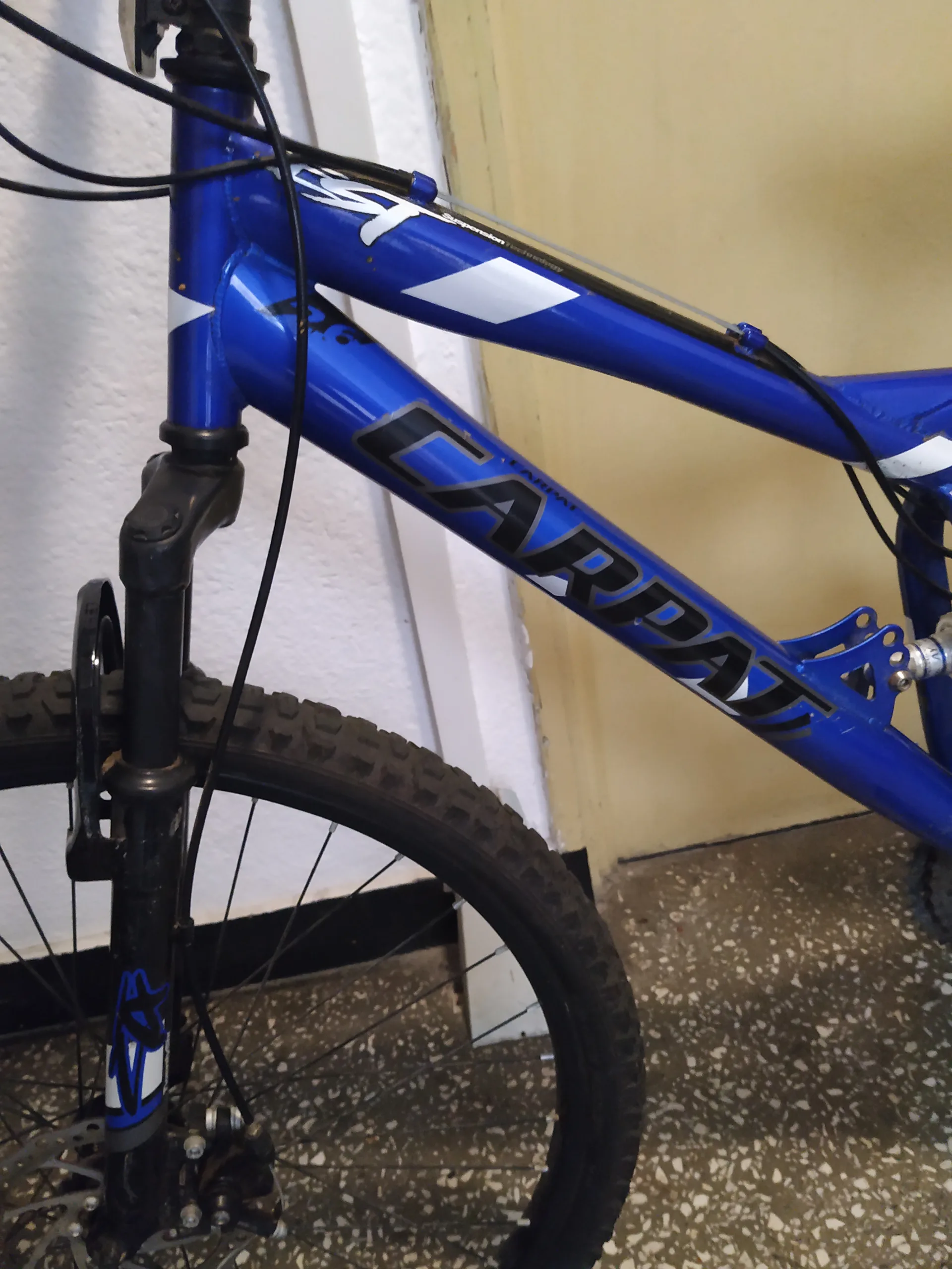 Bicicleta MTB Carpat, cu Roti de 26" | Pedalam.ro