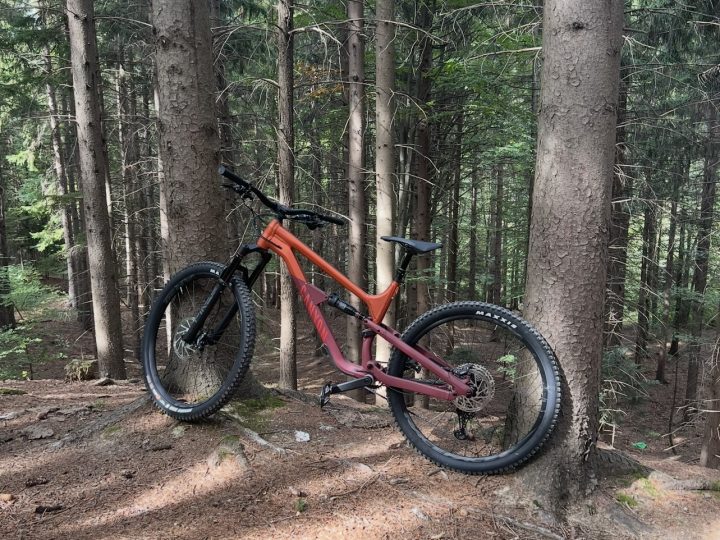 Anunturi biciclete second hand: MTB, BMX, eBikes... | Pedalam.ro